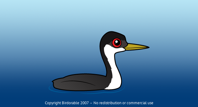 Cute Western Grebe by Birdorable