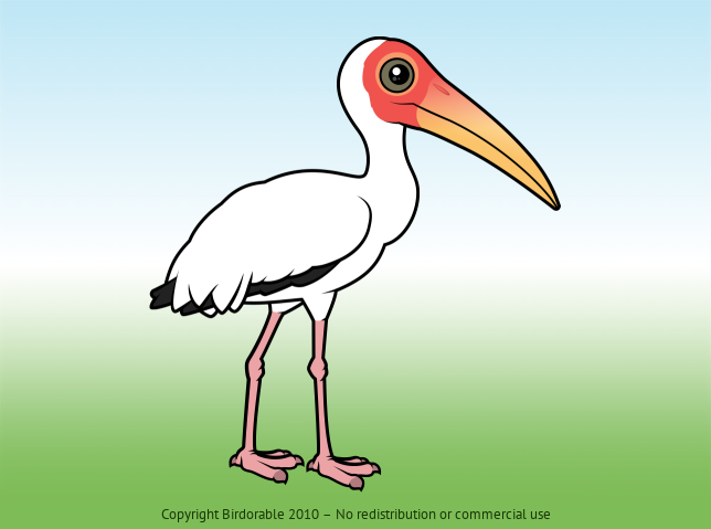 Cute Milky Stork by Birdorable
