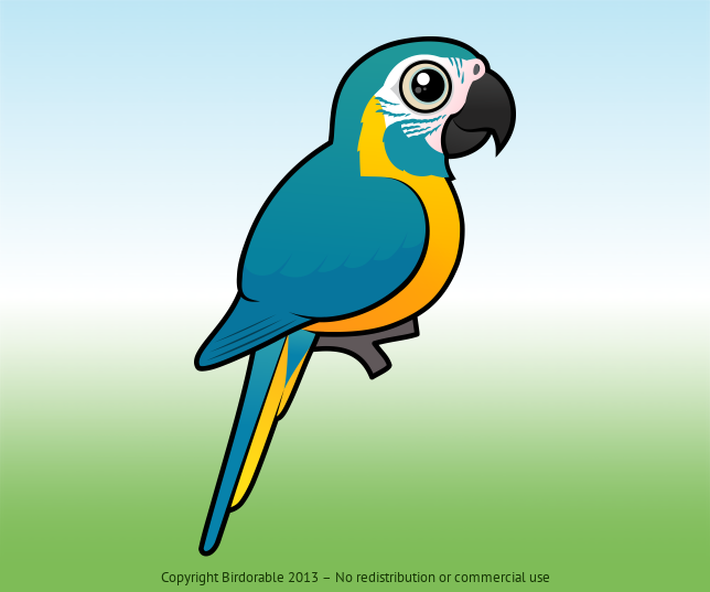 Blue-throated Macaw: Bolivia's Colorful Treasure | Birdorable Birds