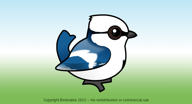 Read About the Azure Tit