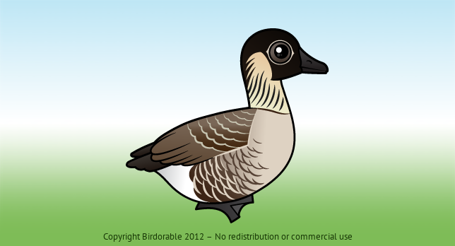 Baby Nene Geese