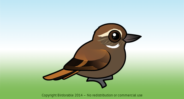 Cute Plain Xenops by Birdorable