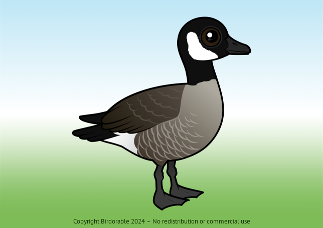 Cute Canada Goose by Birdorable