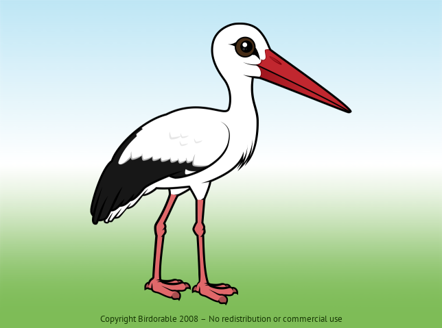 Cute White Stork by Birdorable