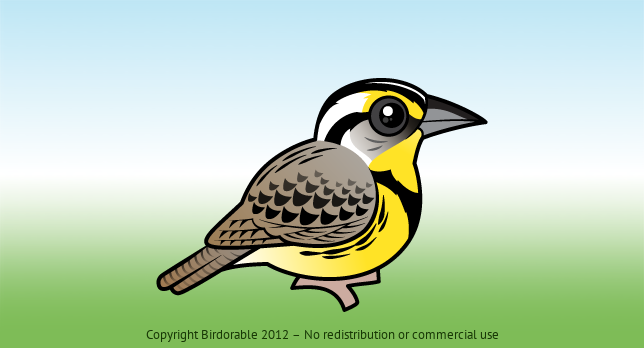 Cute Western Meadowlark by Birdorable
