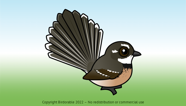 Birdorable Grey Fantail | Cute Bird Info & Gift Ideas