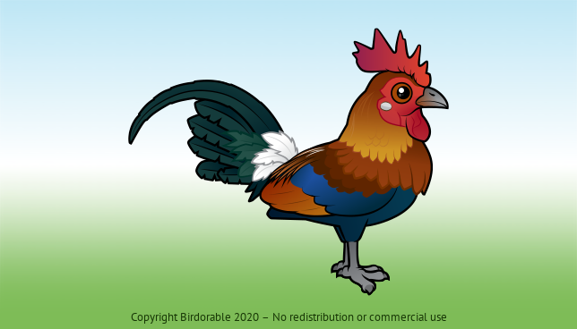 Birdorable Red Junglefowl
