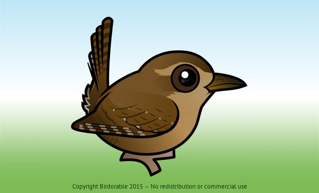 Meet the Cute Pacific Wren of North America | Birdorable Birds