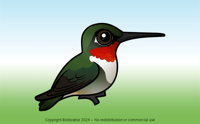 Meet the Cute Ruby-throated Hummingbird by Birdorable