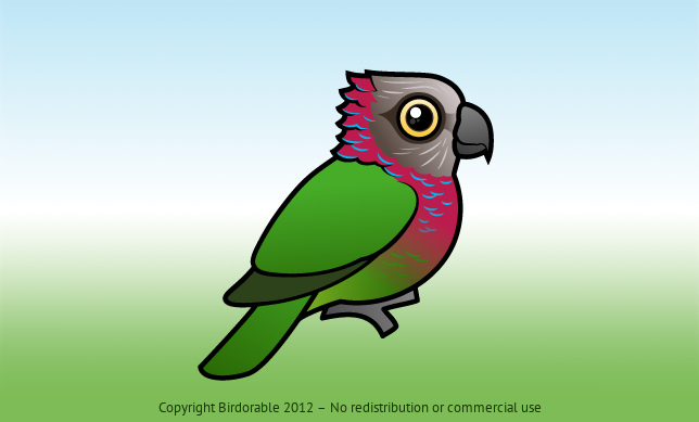 Cute Red-fan Parrot by Birdorable