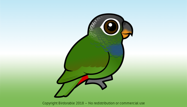 Birdorable Scaly-headed Parrot AKA Maximilian Pionus