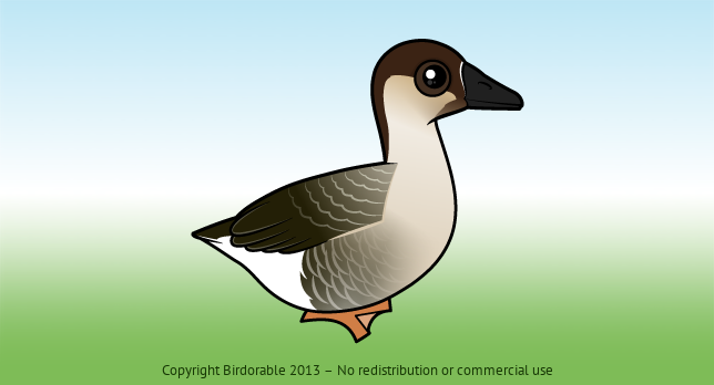 Cute Swan Goose by Birdorable