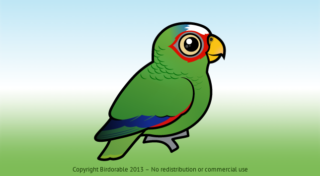 Meet the Cute White-fronted Parrot by Birdorable