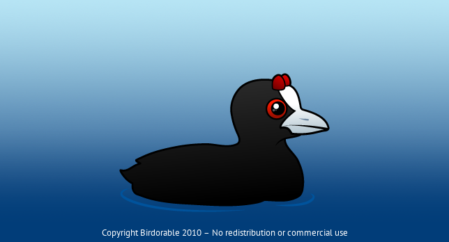 Cute Red-knobbed Coot by Birdorable