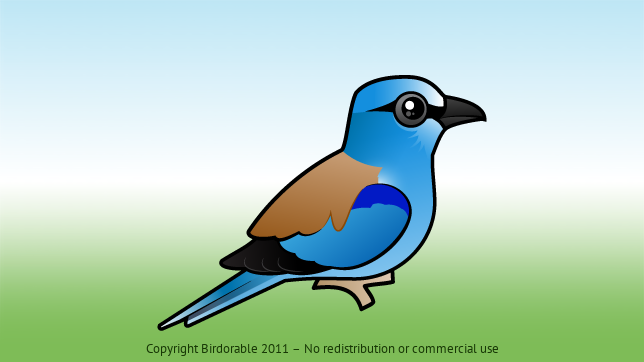 Cute European Roller by Birdorable