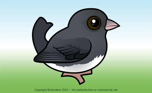 Cute Dark-eyed Junco by Birdorable