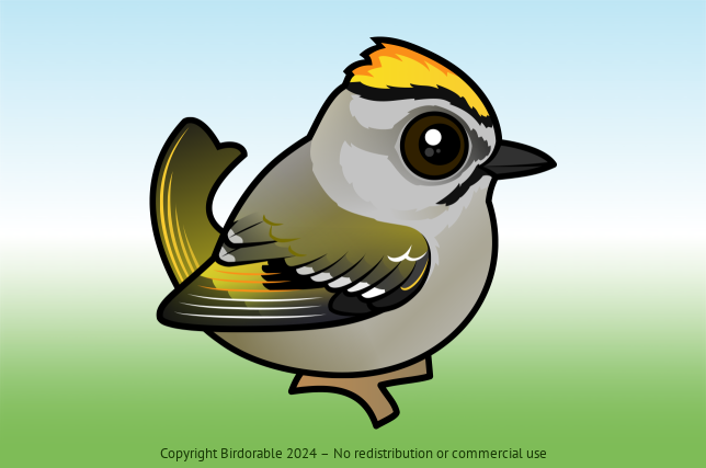 Meet the Energetic Golden-crowned Kinglet | Birdorable Birds
