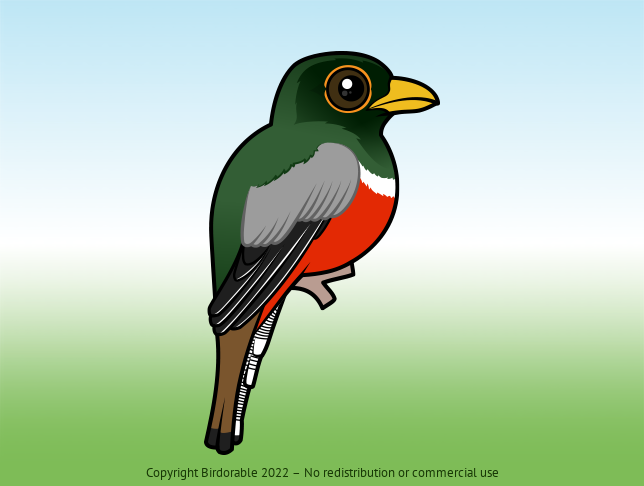 Birdorable Elegant Trogon