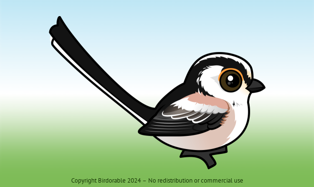 Meet the Long-tailed Tit: Fluffy Flock Bird | Birdorable Birds