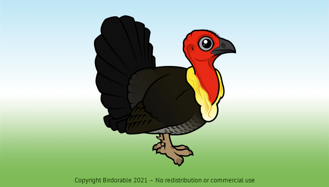 Birdorable Australian Brushturkey AKA Scrub Turkey