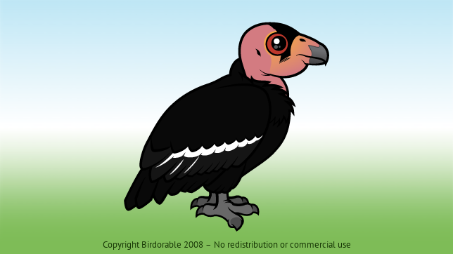Cute California Condor by Birdorable