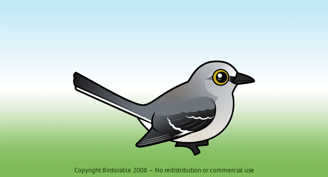 Meet the Cute Northern Mockingbird by Birdorable