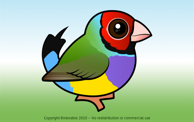 Colorful Australian Gouldian Finch by Birdorable