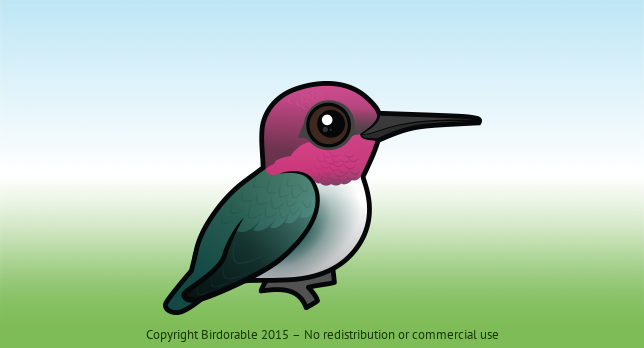 Cute Bee Hummingbird from Birdorable: The Smallest Bird