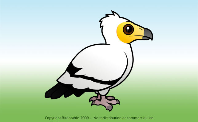 Meet the Egyptian Vulture - The Tool-Using Scavenger | Birdorable