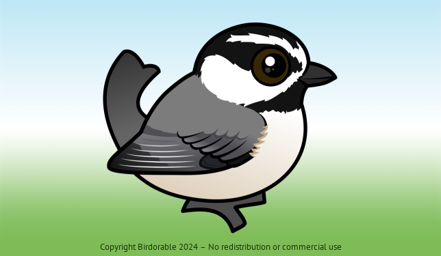 Meet the Cute Mountain Chickadee by Birdorable Birds