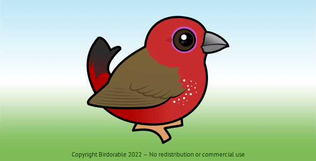 Cute African Firefinch by Birdorable