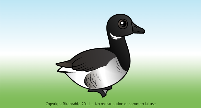 Cute Brant Goose by Birdorable