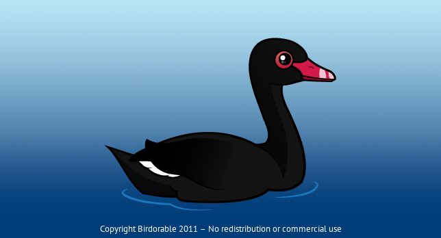 Cute Black Swan by Birdorable
