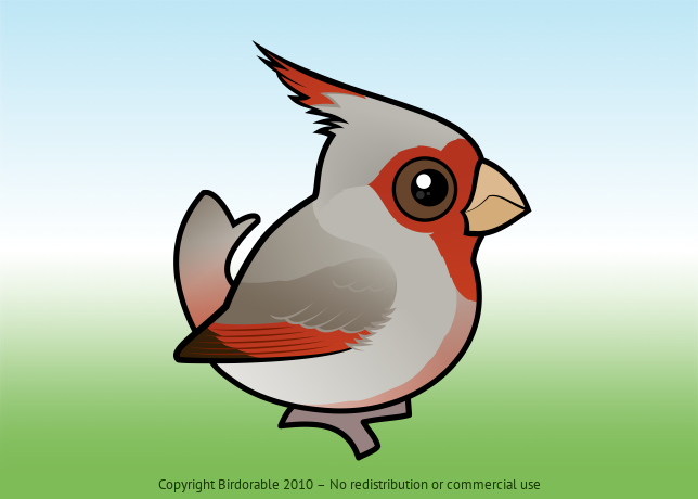 Meet the Cute Pyrrhuloxia: The Desert Cardinal | Birdorable Birds
