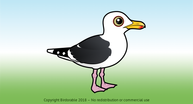 Cute Cartoon Western Gull