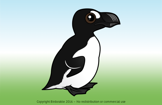 Cute Great Auk by Birdorable