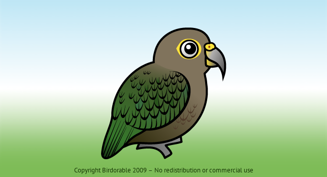 Cute Kea by Birdorable