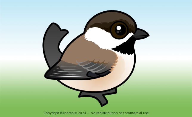 Gray-headed Chickadee - Hardy and Adaptable | Birdorable Birds