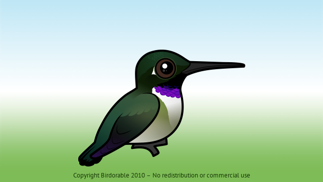 Meet the Cute Black-chinned Hummingbird by Birdorable