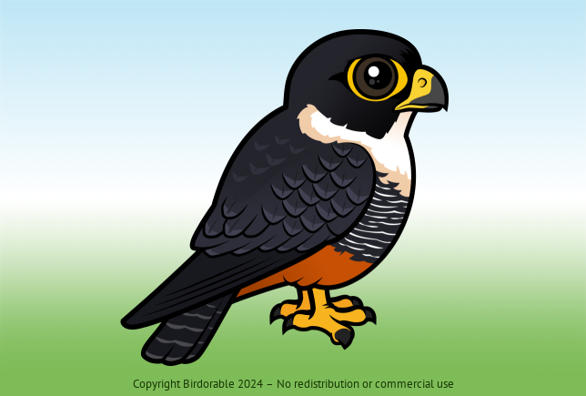 Bat Falcon - The Aerial Predator | Birdorable Birds