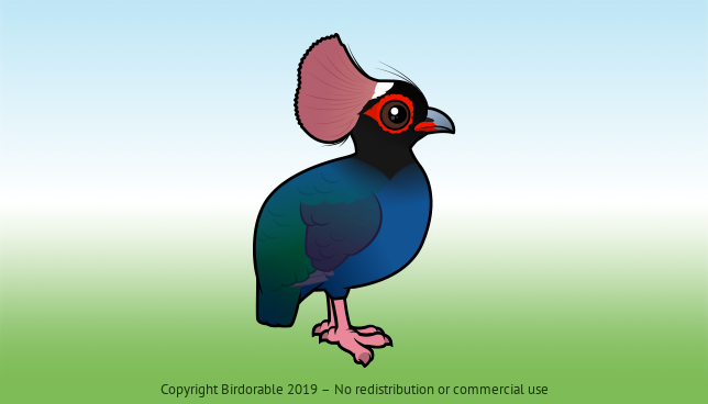 Cute Birdorable Crested Partridge AKA Green Wood Quail