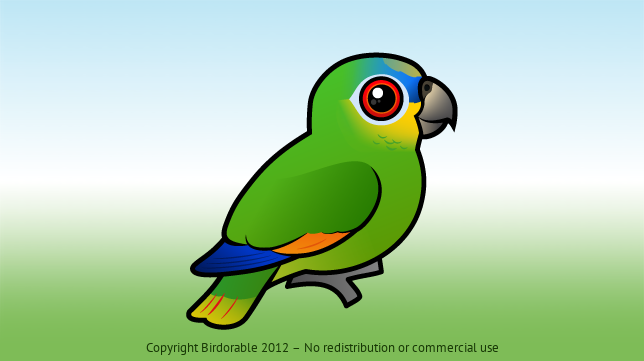 Meet the Cute Orange-winged Amazon by Birdorable