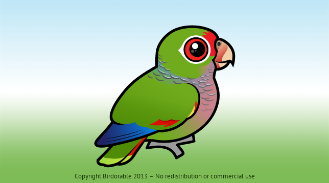 Cute Vinaceous Parrot by Birdorable