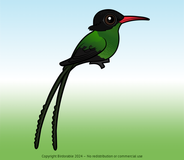Red-billed Streamertail: Jamaica's Jewel of the Skies | Birdorable