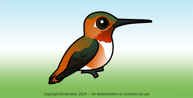 Cute Rufous Hummingbird by Birdorable
