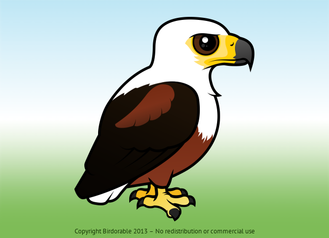 The African Fish-Eagle: A Symbol of Wild Africa | Birdorable Birds