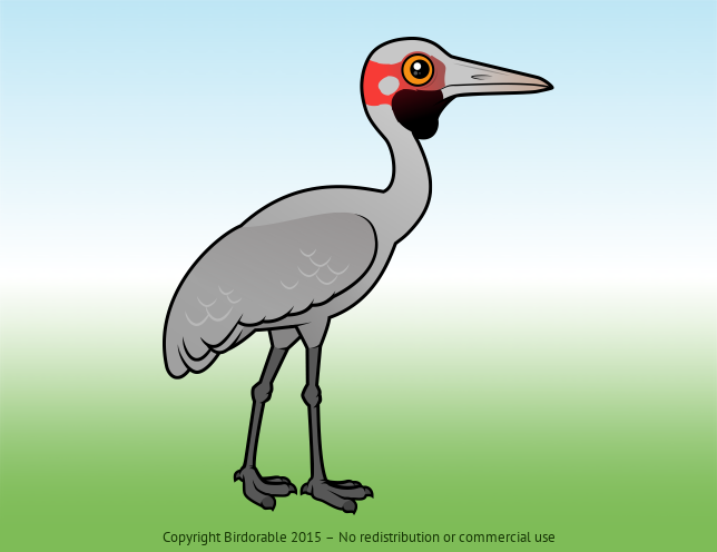 Meet the Cute Brolga aka Australian Crane by Birdorable