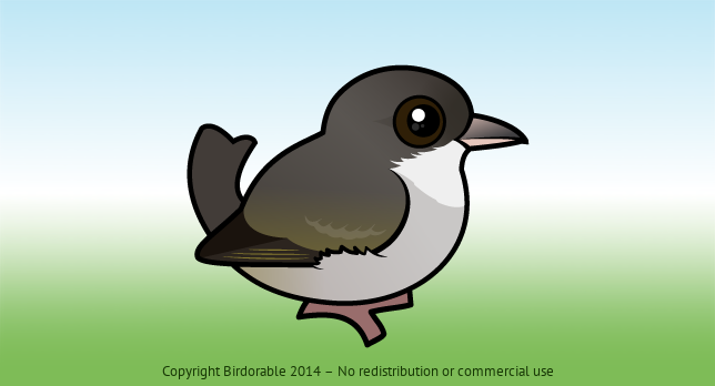 Meet the Cute 'Akikiki from Hawaii by Birdorable