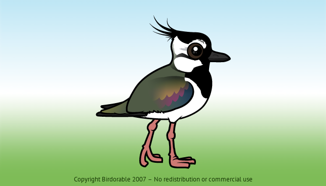 Cute Northern Lapwing by Birdorable