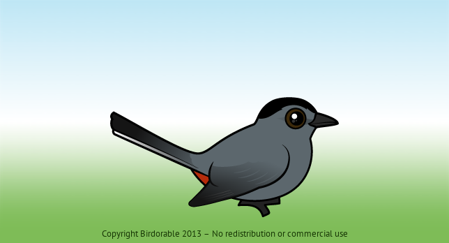 Cute Gray Catbird by Birdorable